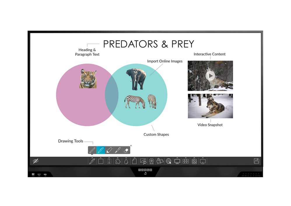 Smartboards.com | Interactive Displays & Accessories